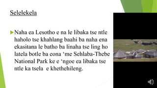 SEHLABA-THEBE NATIONAL PARK BY LEBITSA EKETSANG | PPT