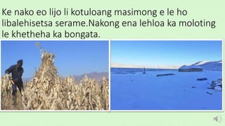Likhoeli le linako tsa selemo | PPTX
