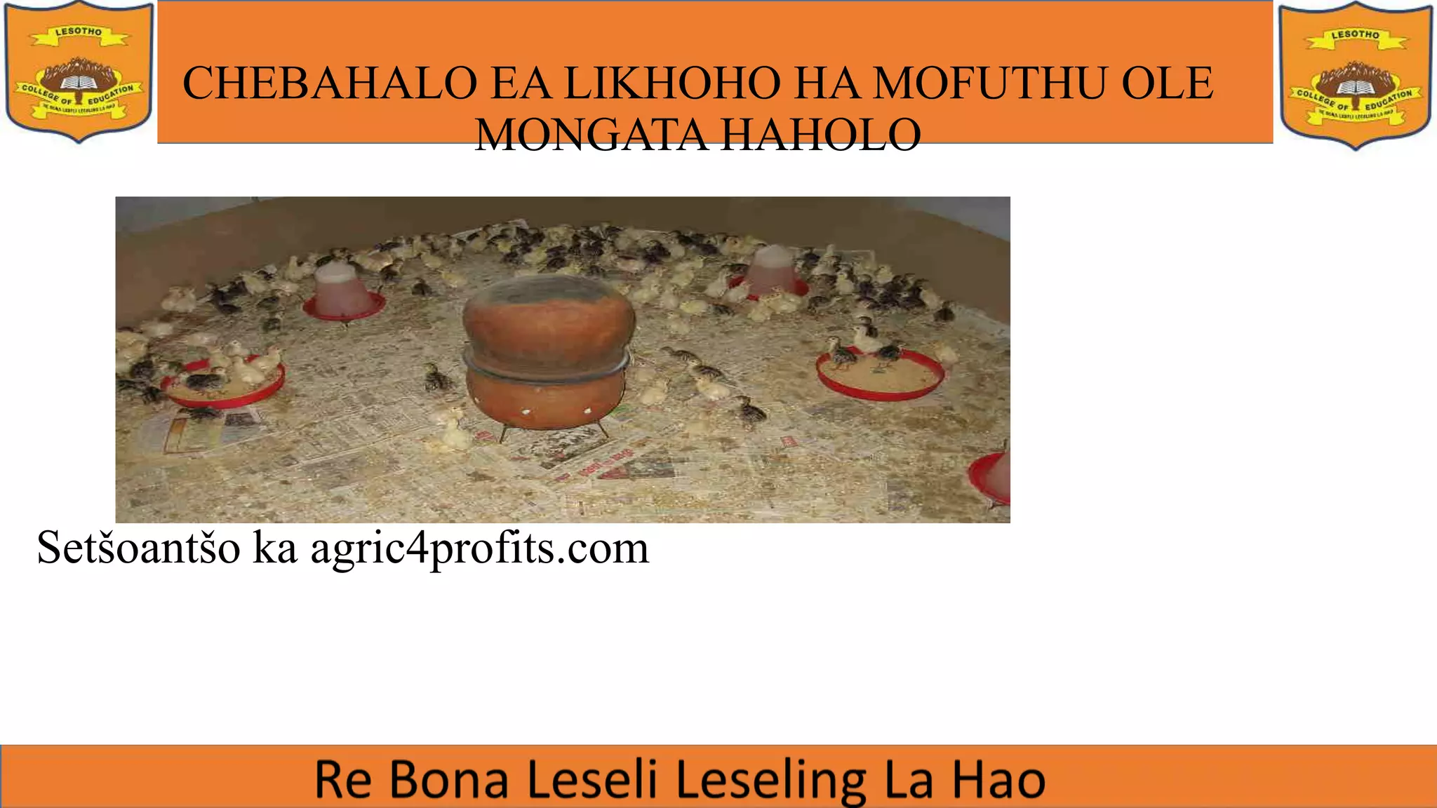 TLHAHISO EA LIKHOHO TSA NAMA | PPTX