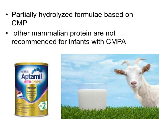 Cow milk protein energy | PPT