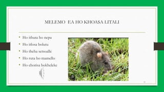 CMP ASSIGNMENT 1.pptx