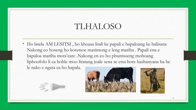 CMP ASSIGNMENT 1.pptx