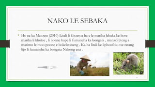 CMP ASSIGNMENT 1.pptx