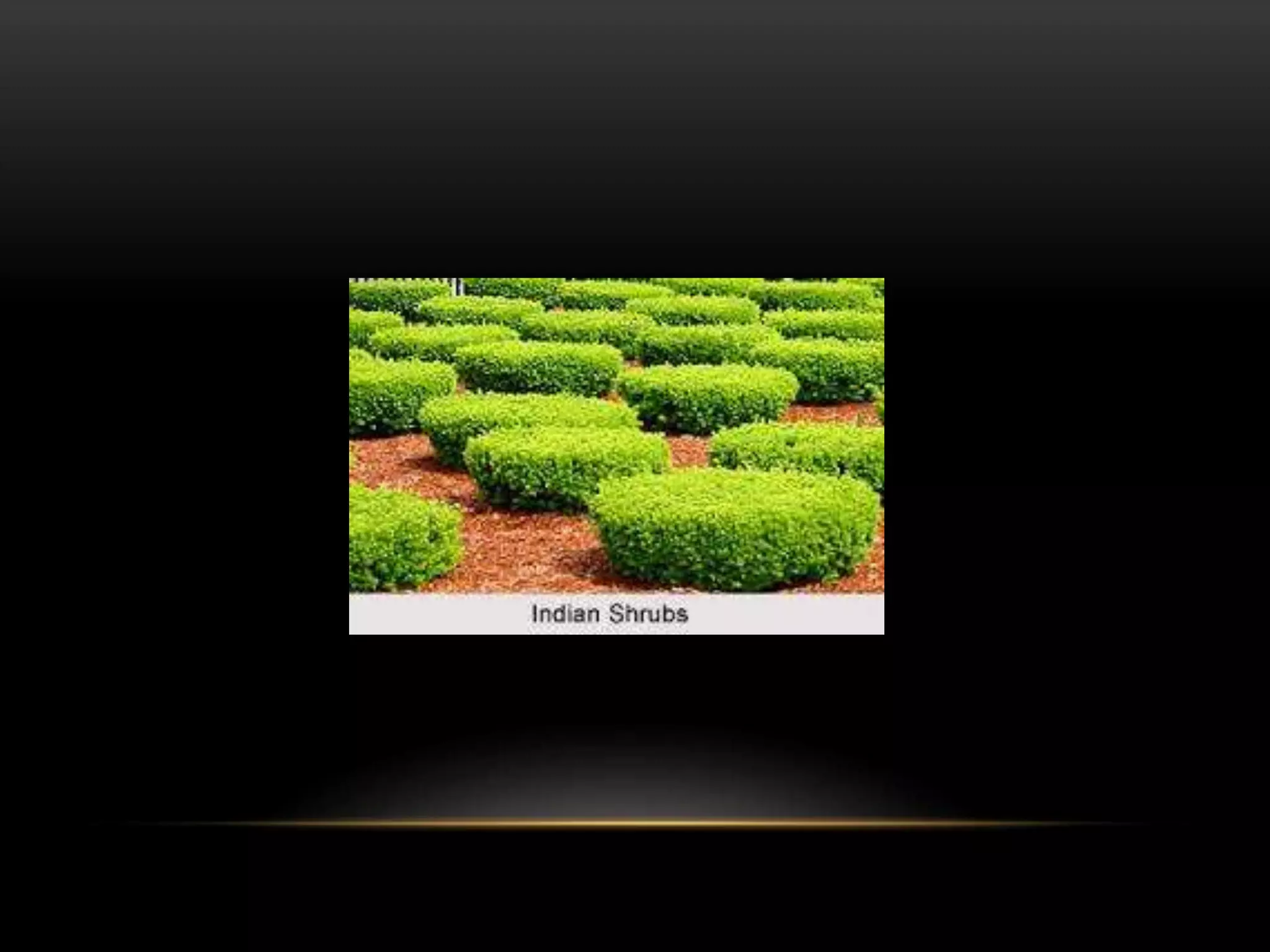 Components of garden | PPTX