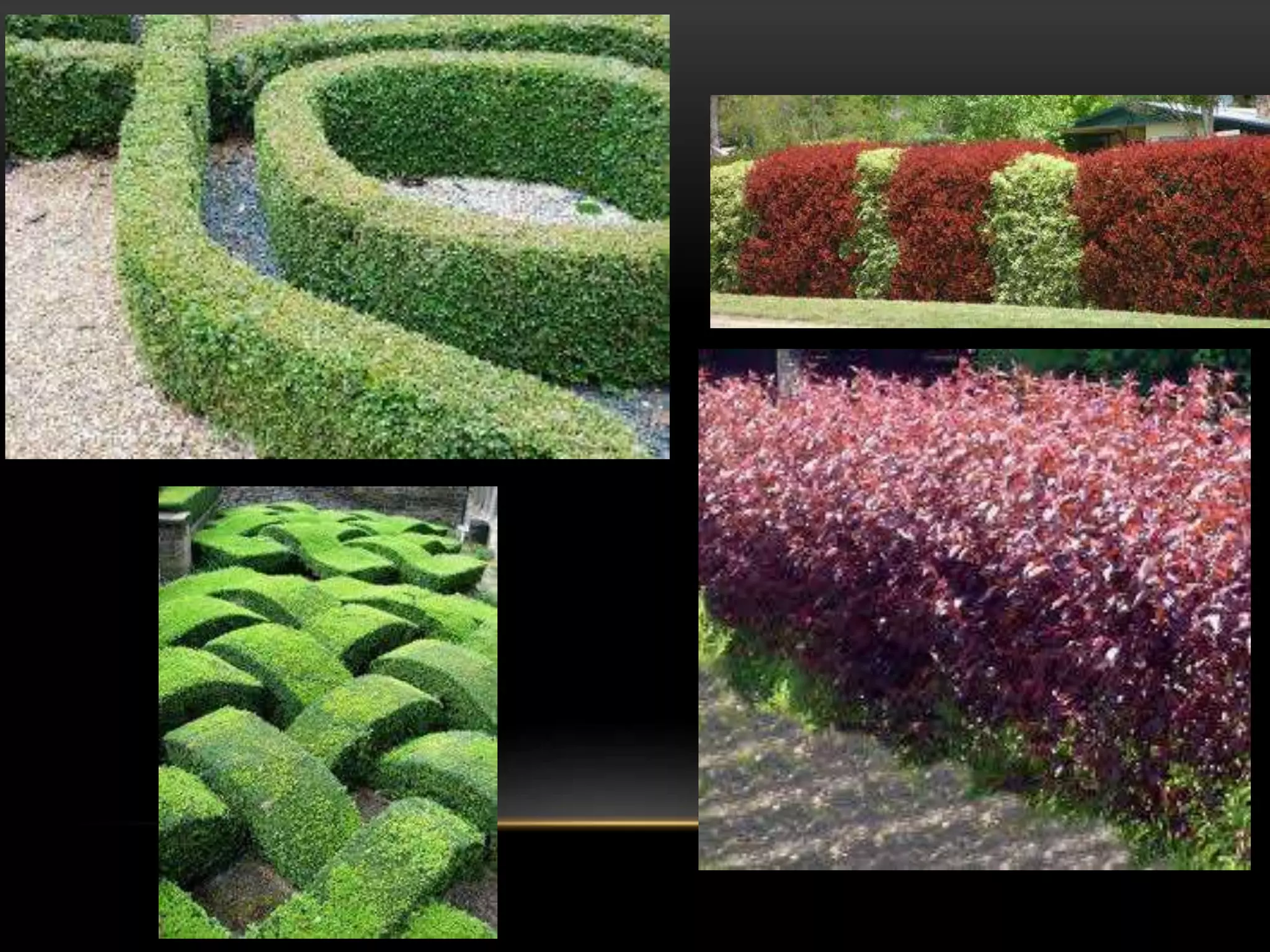 Components of garden | PPTX