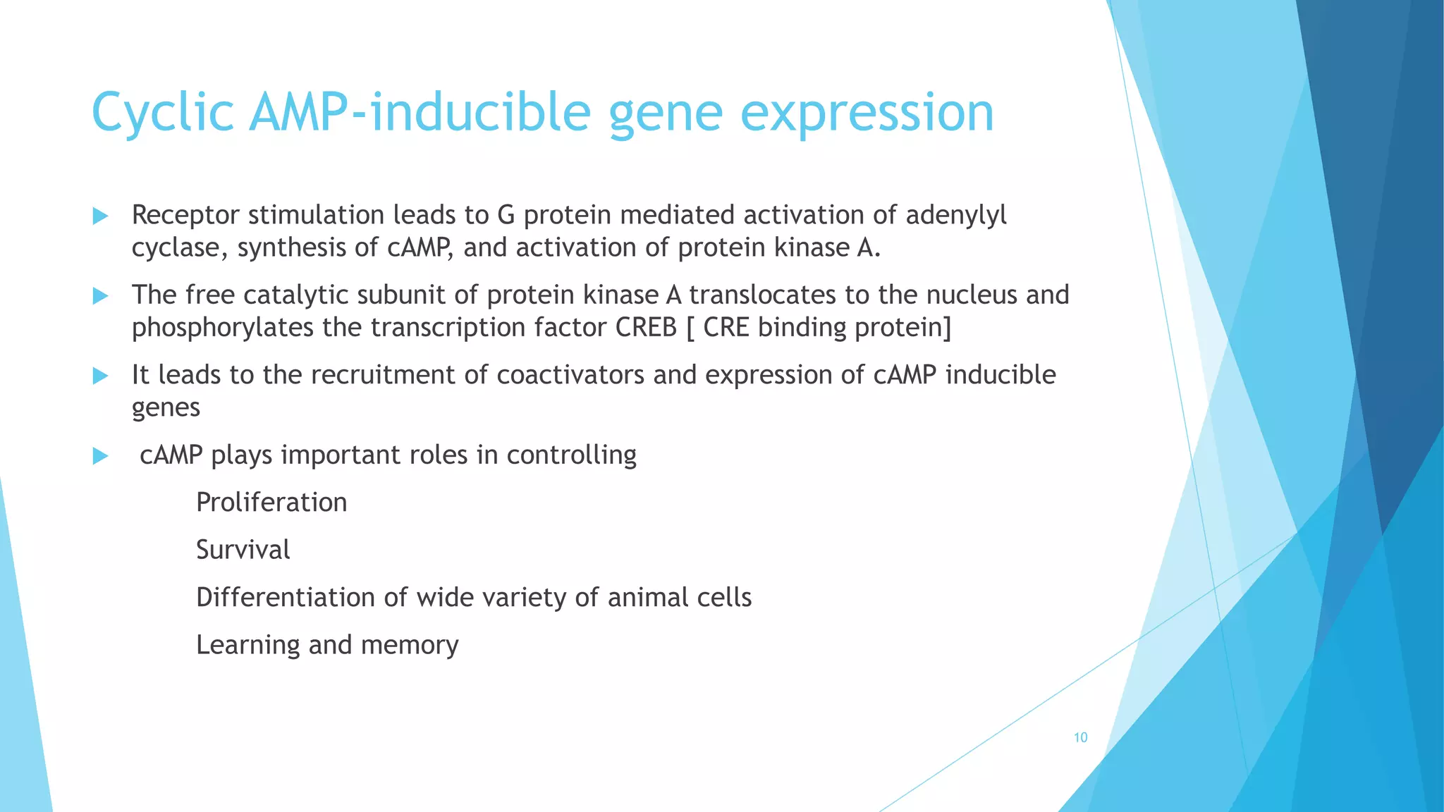 Cell Signalling and Secondary messengers | PPTX
