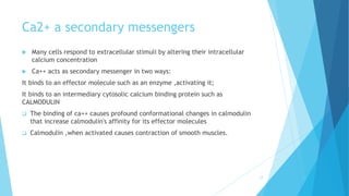 Cell Signalling and Secondary messengers | PPTX