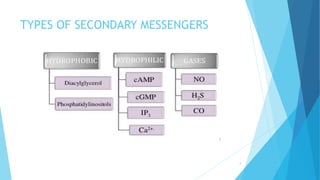 Cell Signalling and Secondary messengers | PPTX