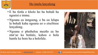 KEMARO KA SESOTHO | PPTX | Pregnancy | Reproductive Health