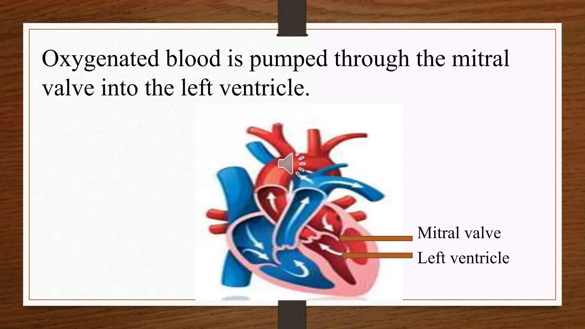 CMP PROJECT - Copy.pptx | Heart and Cardiovascular Diseases | Diseases ...