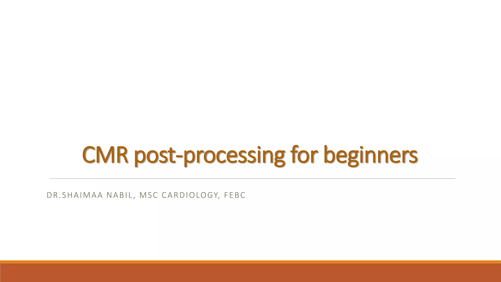 CMR Post-processing.pptx