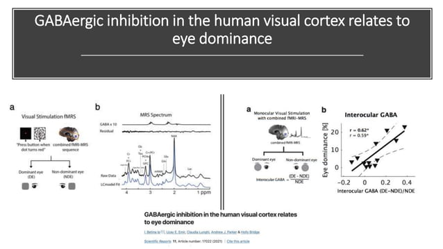 CMRR workshop in vivo GABA Glutamate and fMRI BOLD imaging Event ...