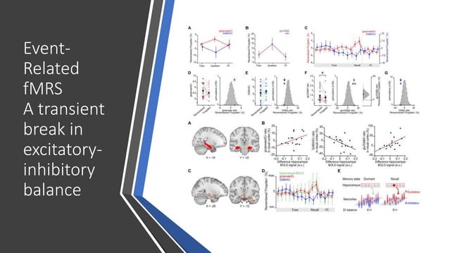 CMRR workshop in vivo GABA Glutamate and fMRI BOLD imaging Event ...