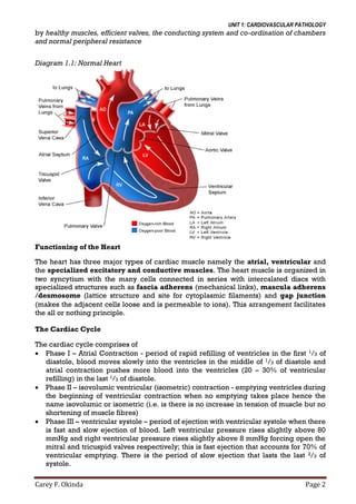 Cardiovascular System Pathology 2014 edited by @jennings argwing | PDF