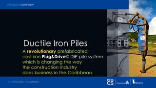 CMS DIP Presentation 18 | PPT
