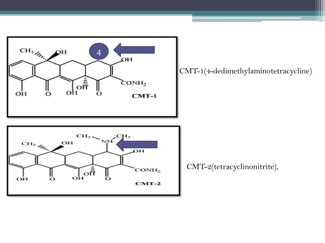 Chemically modified tetracycline- Dr. Rohanjeet | PDF | Dental Health ...