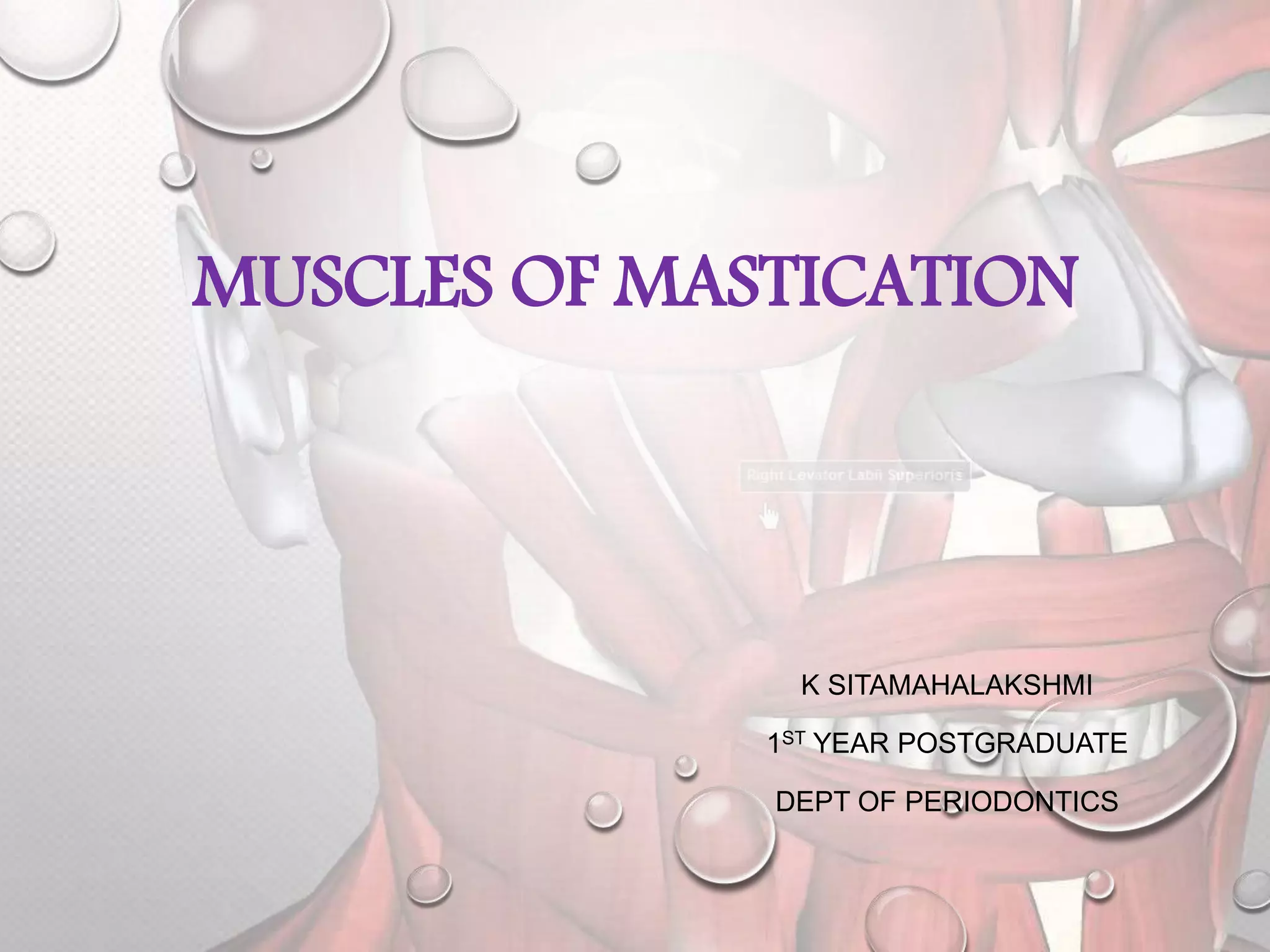 muscles of mastication | PPTX
