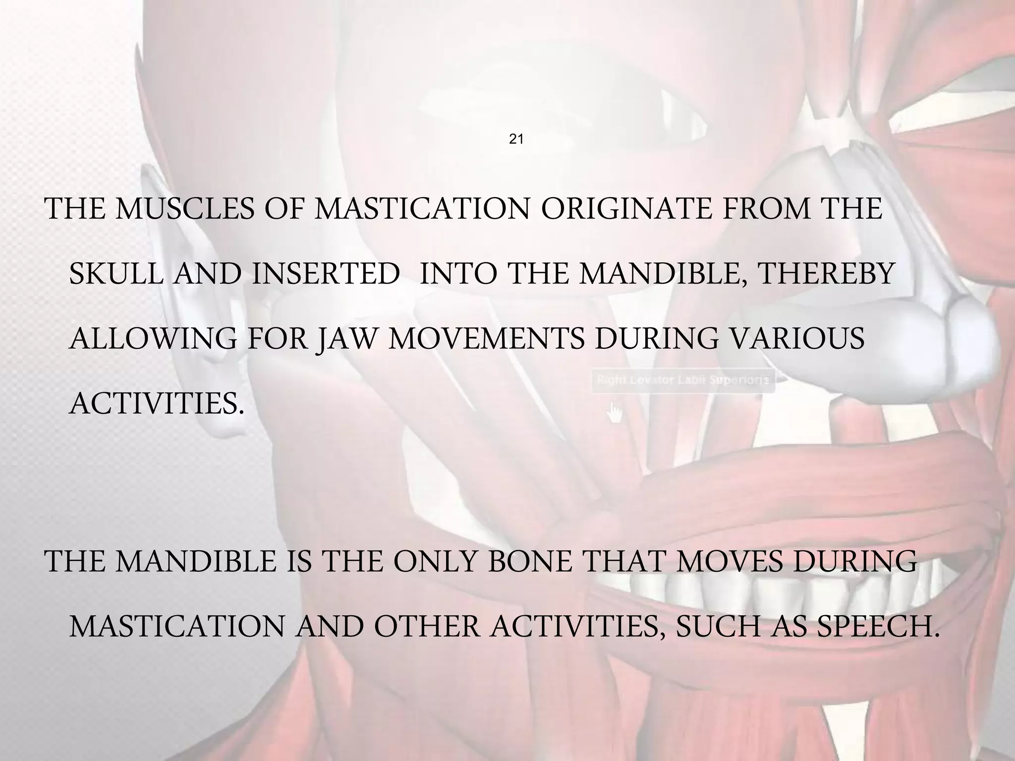 muscles of mastication | PPTX