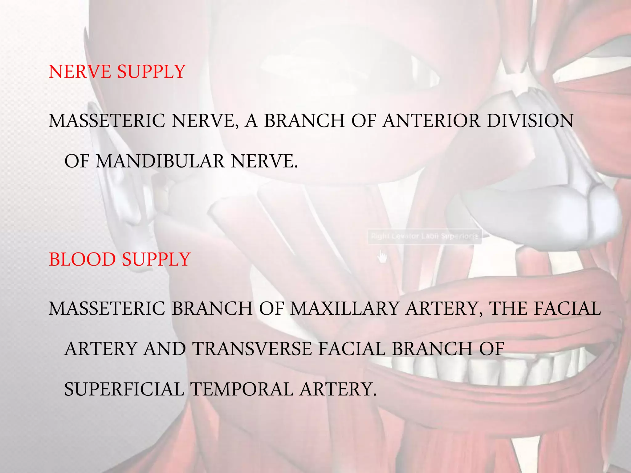 muscles of mastication | PPTX