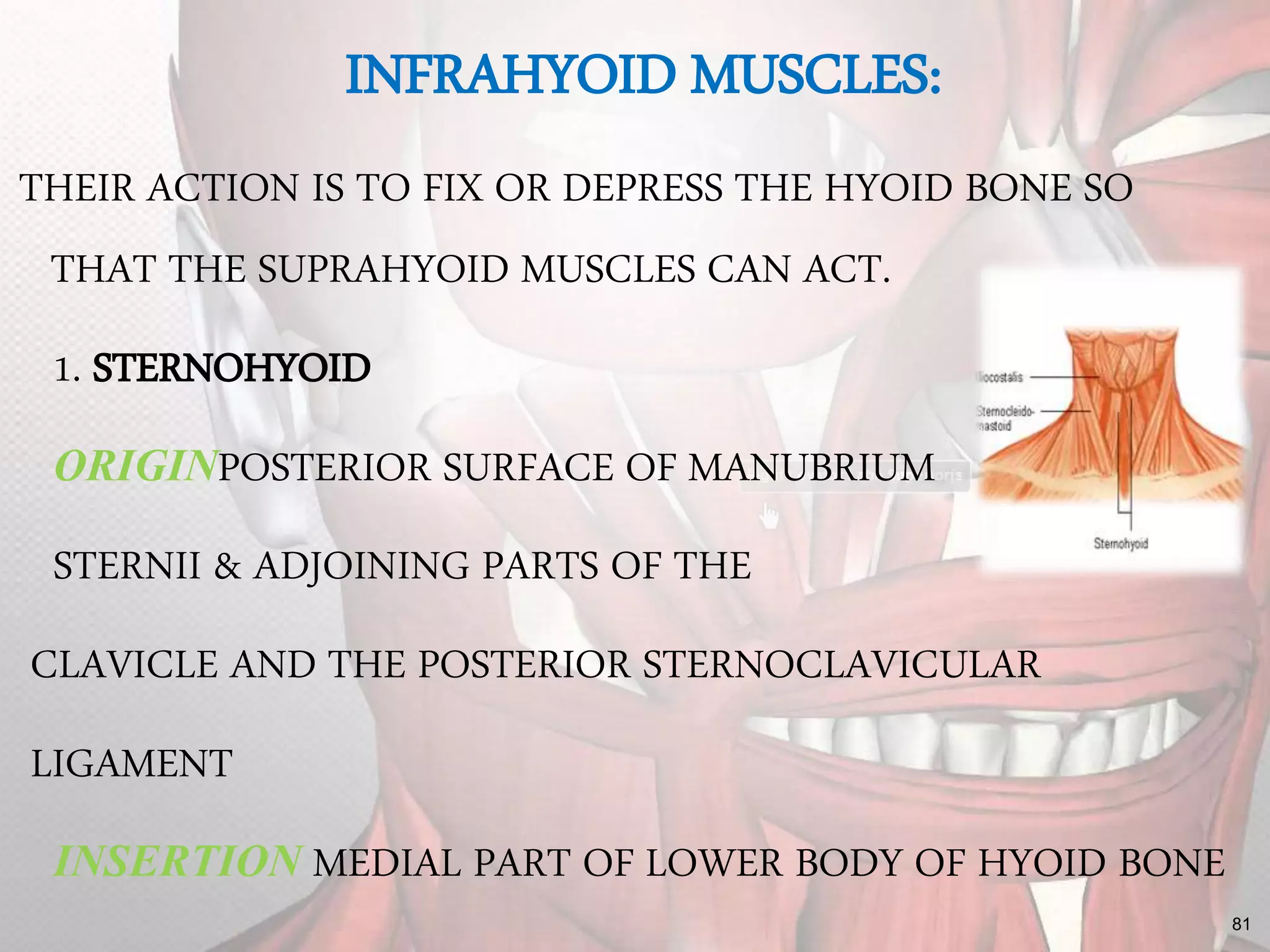 muscles of mastication | PPTX