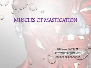 muscles of mastication | PPTX