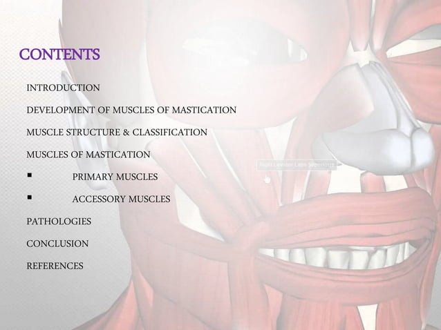 muscles of mastication | PPT