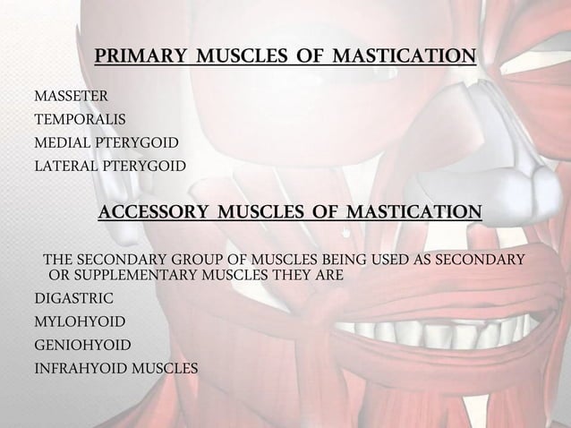 muscles of mastication | PPT