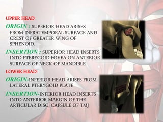 muscles of mastication | PPTX
