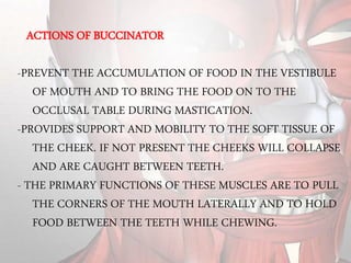 muscles of mastication | PPTX