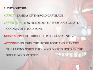 muscles of mastication | PPTX