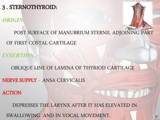 muscles of mastication | PPTX