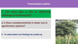 Enhancing food security through agroforestry practices: Key lessons ...