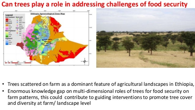 Enhancing food security through agroforestry practices: Key lessons f…