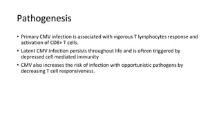 Cytomegalo vrius | PPTX