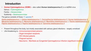 CMV.pptx