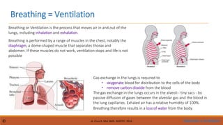 CM Ventilator pp.pptx
