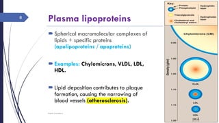 Lipoprotein metabolism | PDF