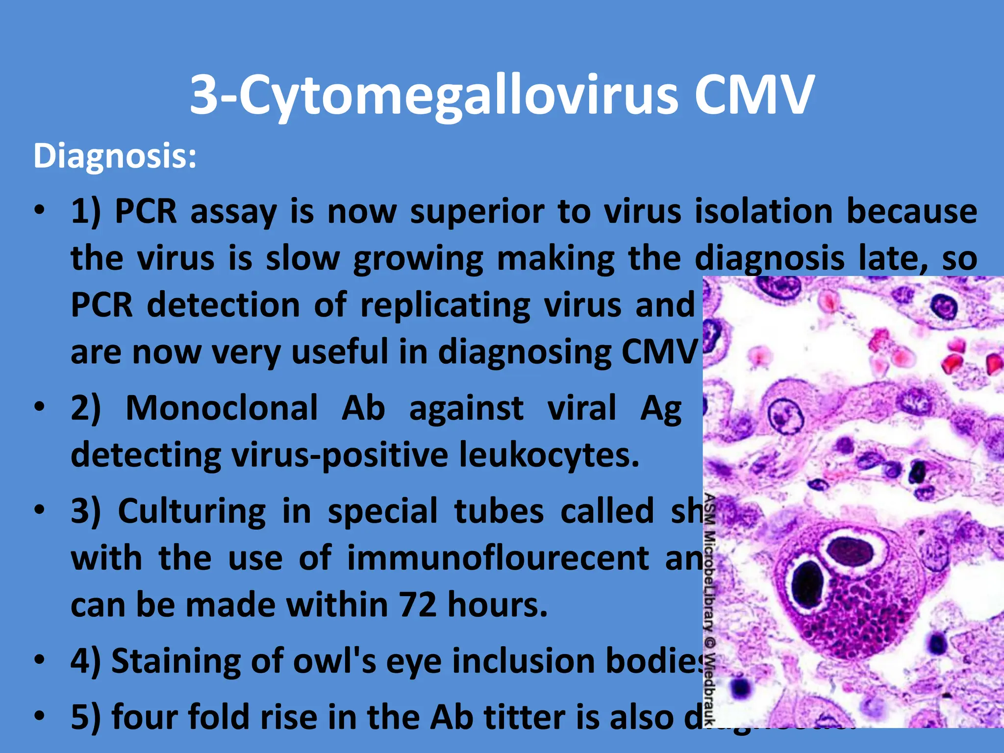 cytomegalovirus lifecycle transmission how cause the disease | PDF