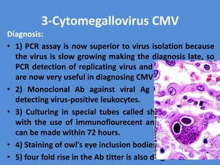 cytomegalovirus lifecycle transmission how cause the disease | PPT