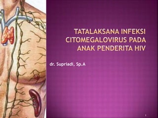 TATALAKSANA INFEKSI CMV PADA ANAK PENDERITA HIV | PPTX
