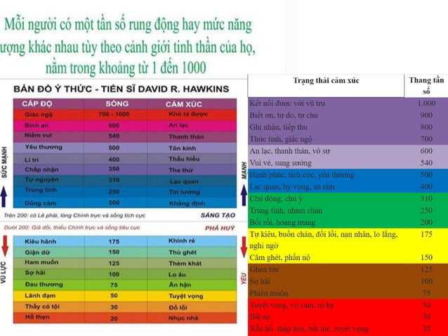 Cảm Xạ Đồ - Đo trường năng lượng xung quanh | PDF