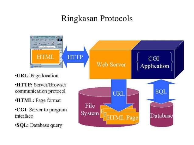Common Gateway Interface | PPS