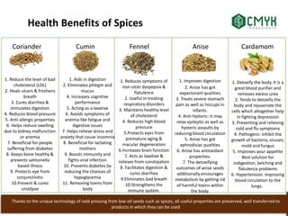 Spices in Dairy | PDF