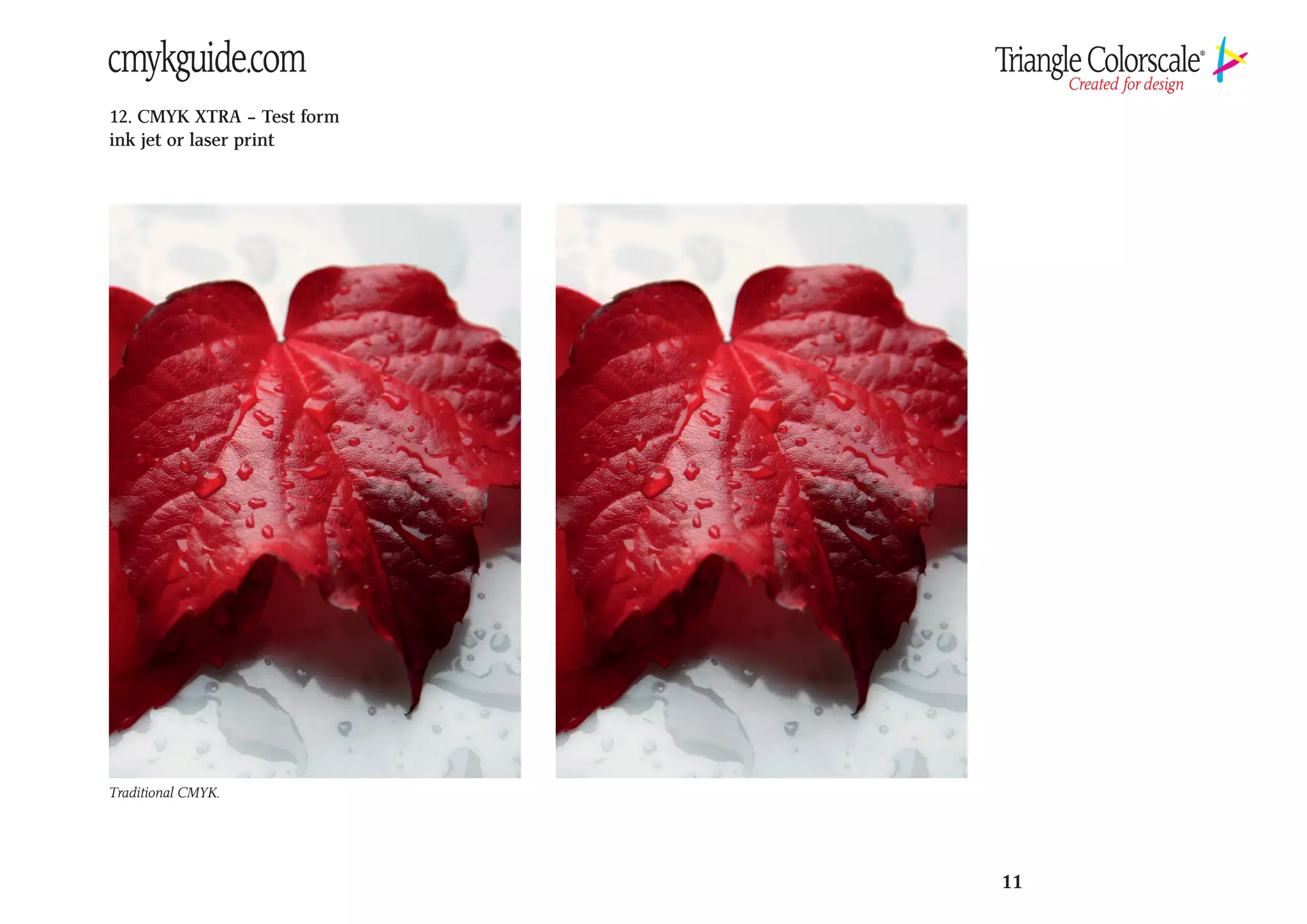 CMYK XTRA – Test form A4 ink jet or laser print.pdf