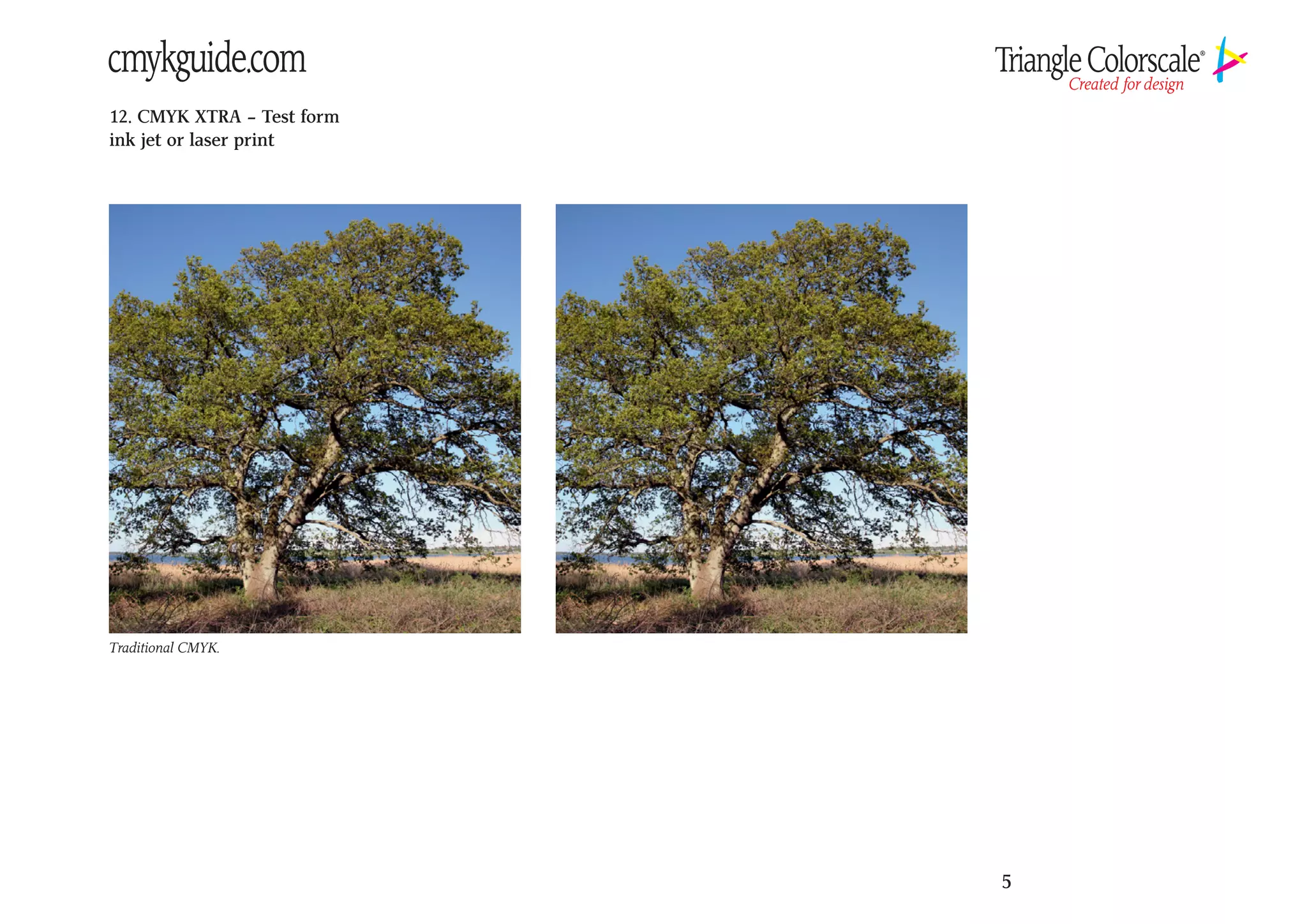 CMYK XTRA – Test form A4 ink jet or laser print.pdf