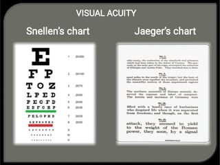 CRANIAL NERVES | PPT