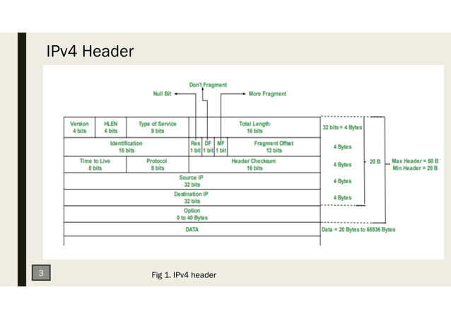 Cn ppt about ipv4 and ipv6................ | PDF