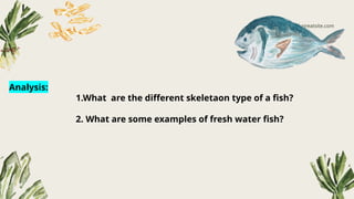 CN#14-The Different varieties of Fish .pptx