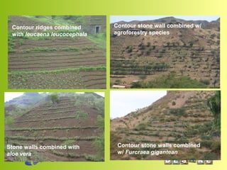 Cn 2 th14_inida_assessment of land degradation_baptista | PPT