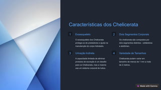 Os-incriveis-Chelicerata.pptx